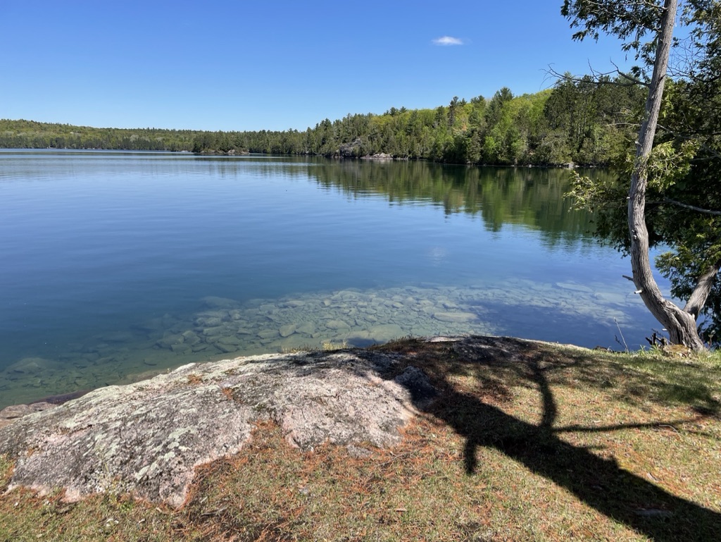 News & Events - Lake Clear Conservancy